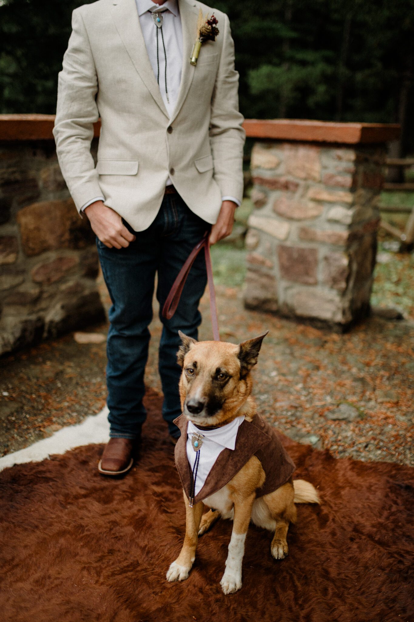 Bighorn National Forest Wedding - Dogs, Lightening, & Night Photos