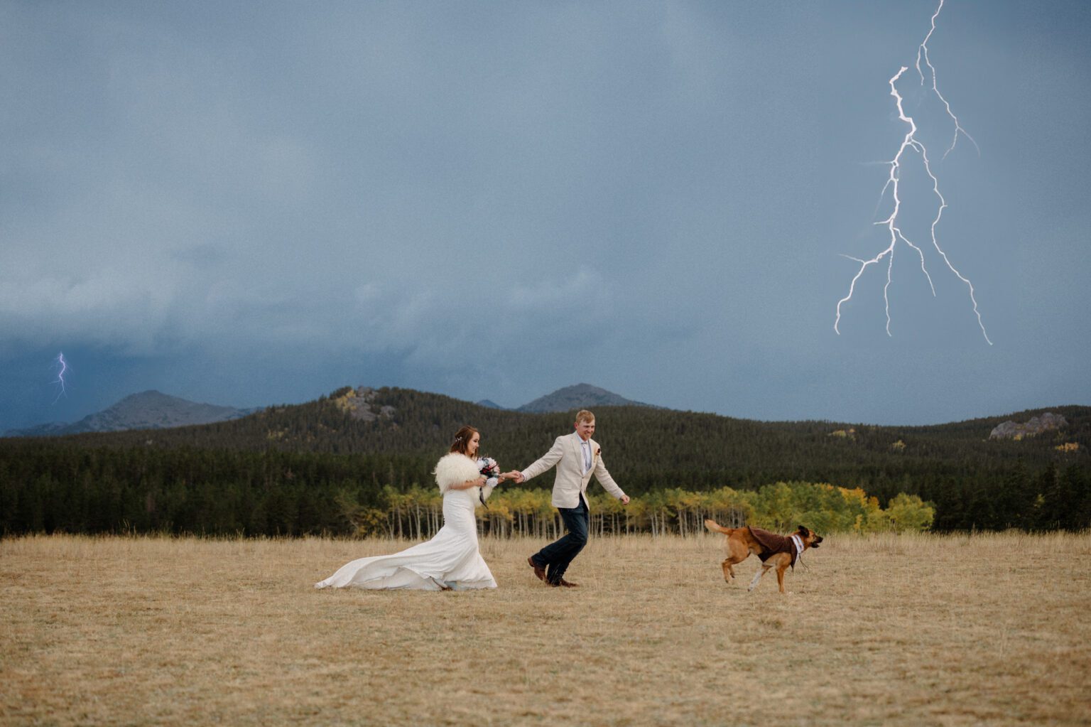 Bighorn National Forest Wedding - Dogs, Lightening, & Night Photos