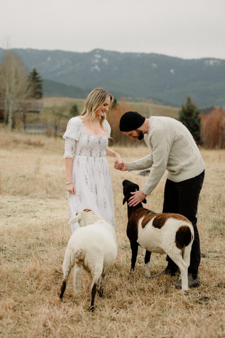 Bozeman Engagement Session - sheep dreams & champagne pops!