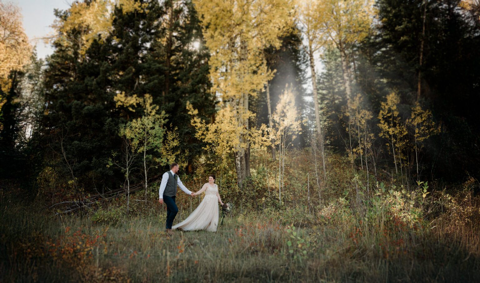 Yellowstone National Park Elopement - a wild af day in nature
